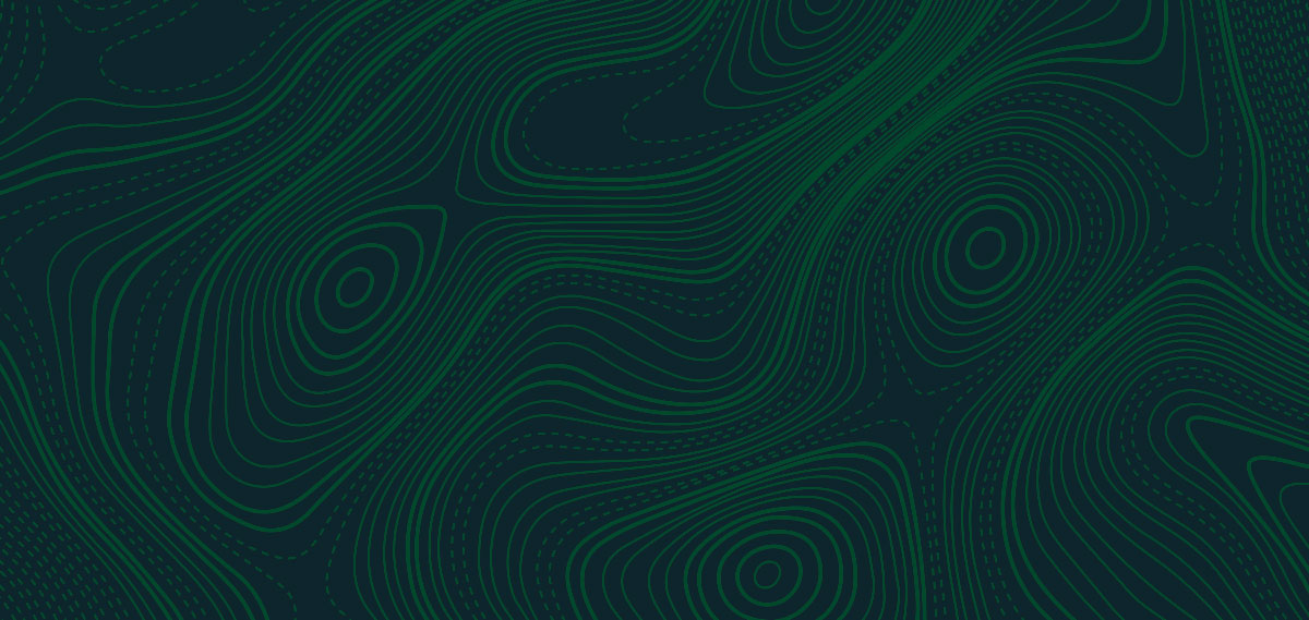 Dinglebat: May 2020 Edition - Camp Highlands